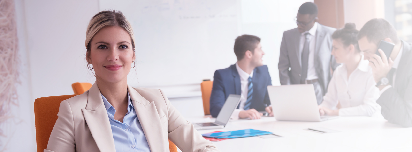 Contact Us – Tax & Inspection Services